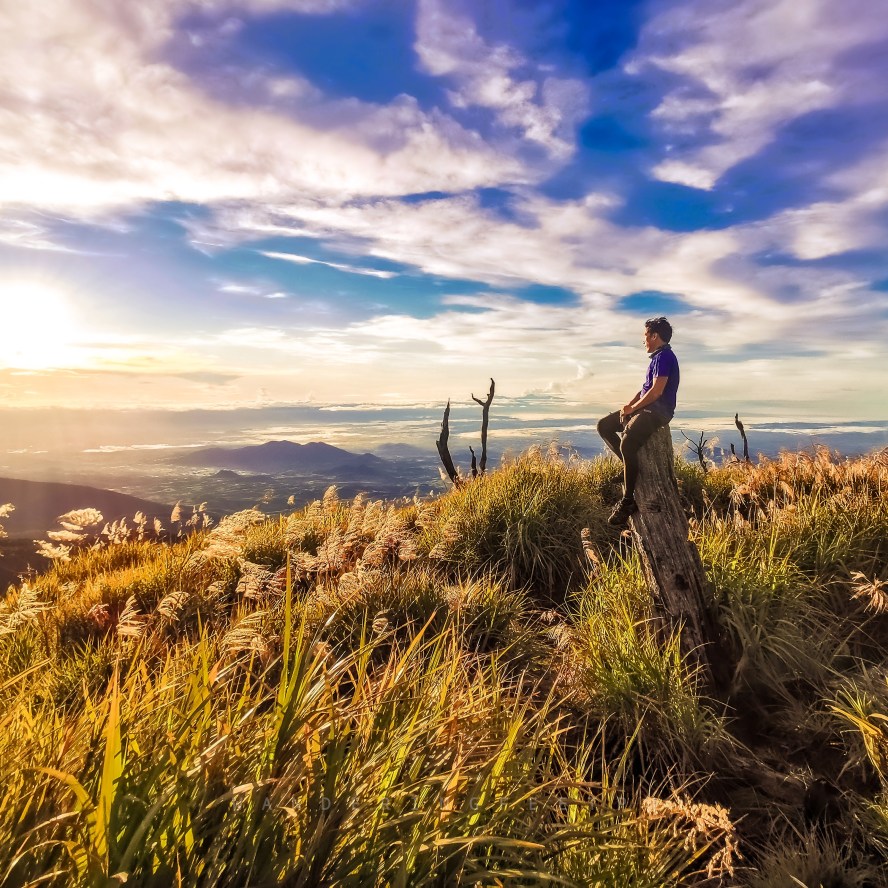 WANDERING FEET PH – anywhere with my two feet