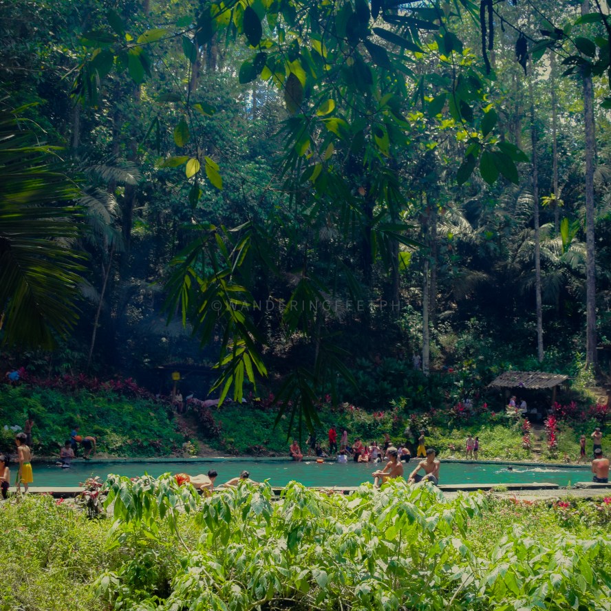 WANDERING FEET PH – anywhere with my two feet